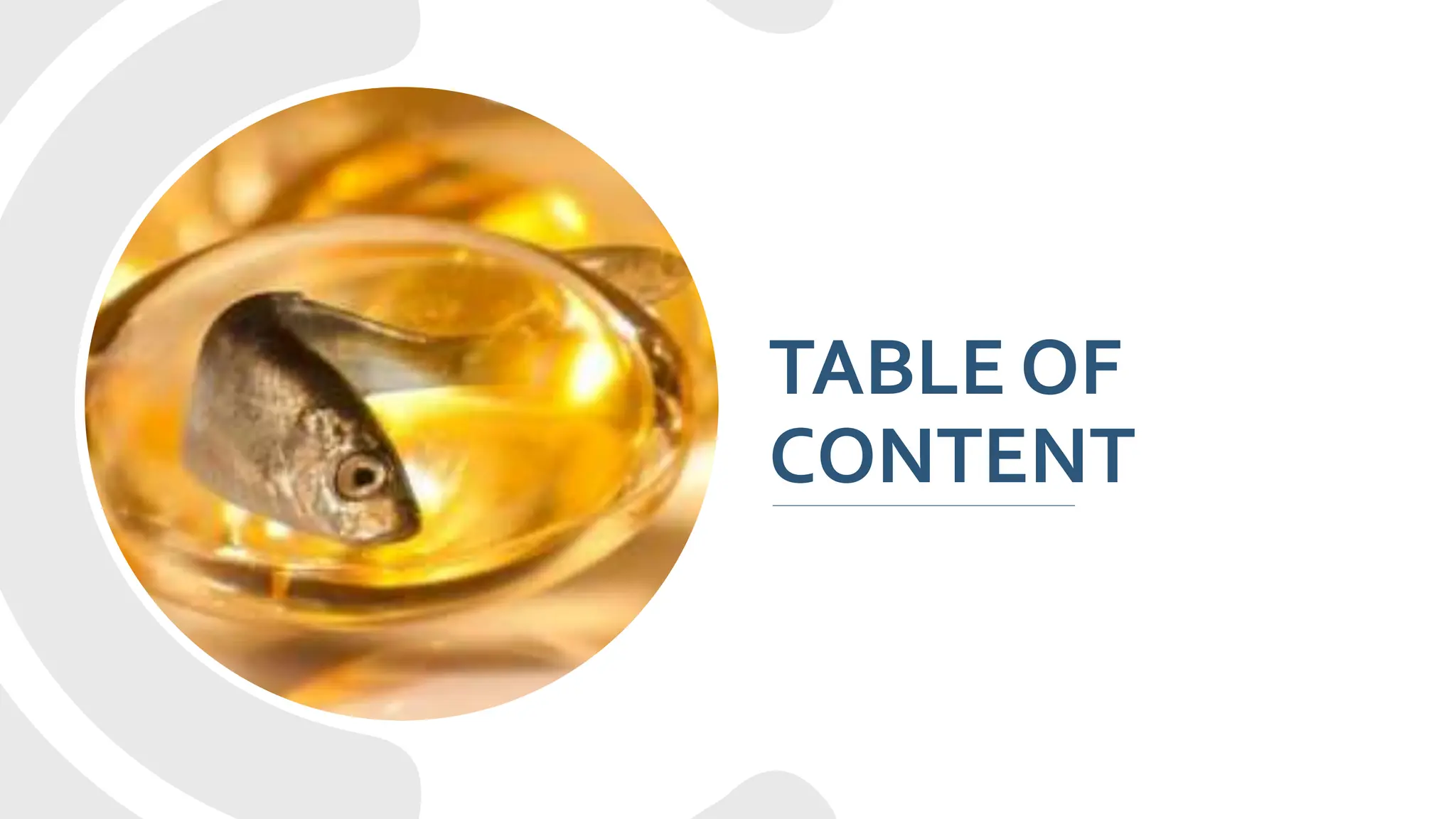 Project Report on Fish Oil Processing Plant | PPTX
