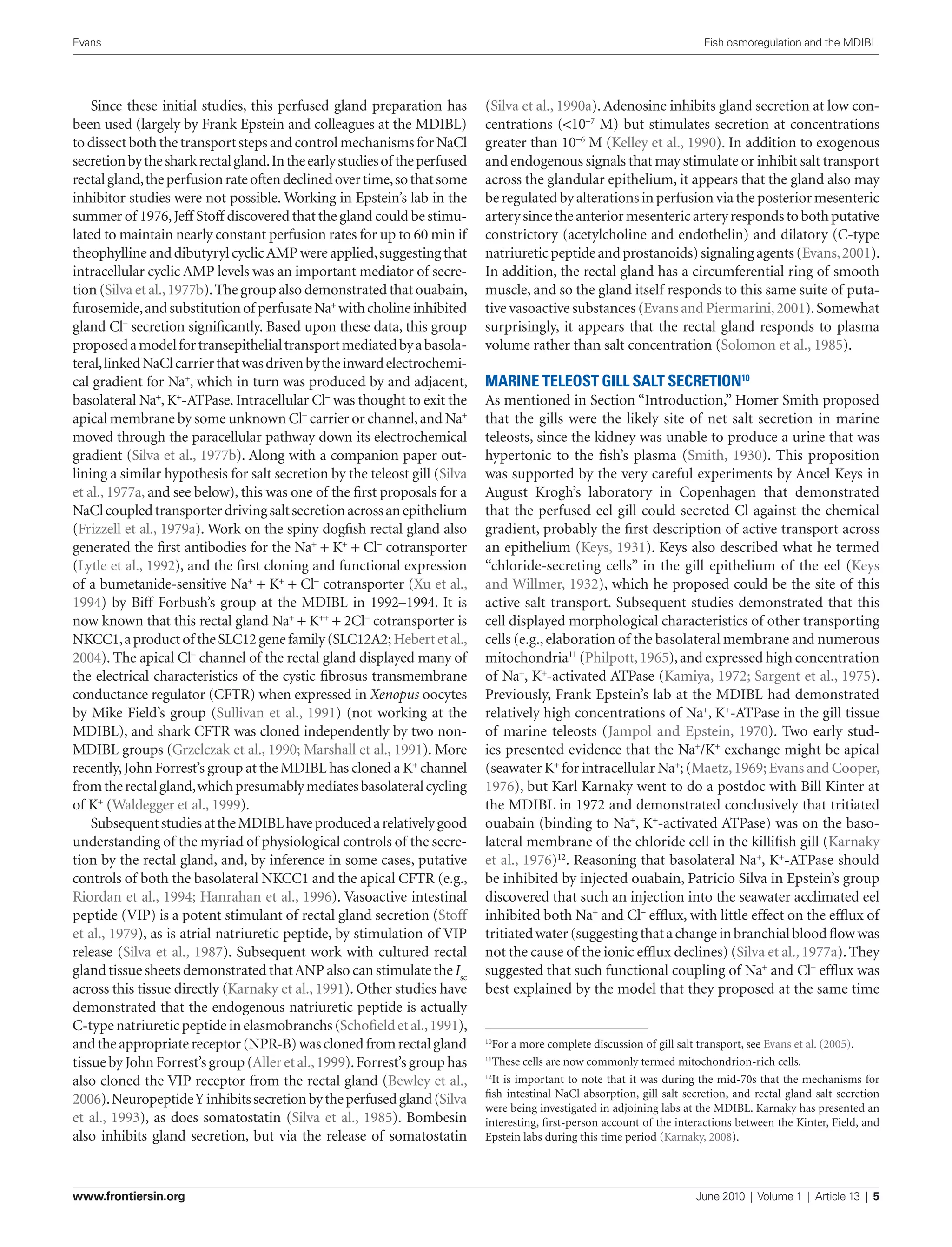 Fish osmoregulation | PDF