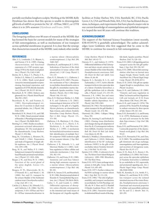 Fish osmoregulation | PDF