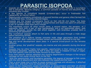 Fish parasite | PPT
