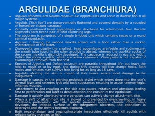 Fish parasite for B.Sc.V sem.ppt