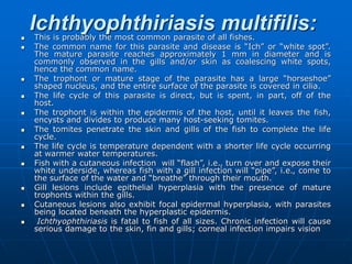 Fish parasite for B.Sc.V sem.ppt