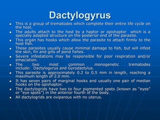 Fish parasite for B.Sc.V sem.ppt