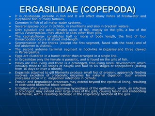 Fish parasite for B.Sc.V sem.ppt