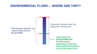 Environmental flow & Fish passes | PPTX