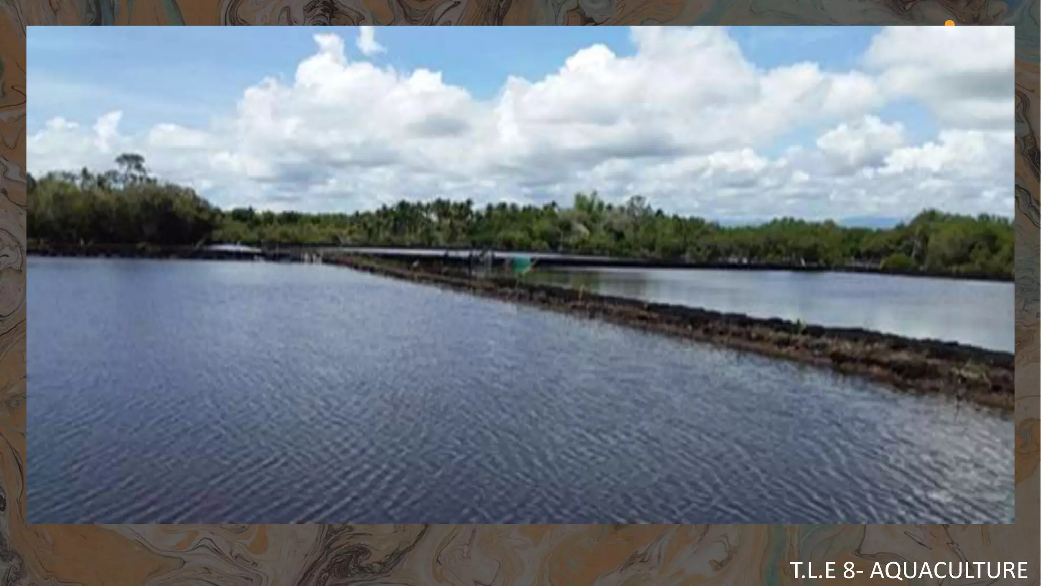 Fishpond and It’s Compartments.pptx