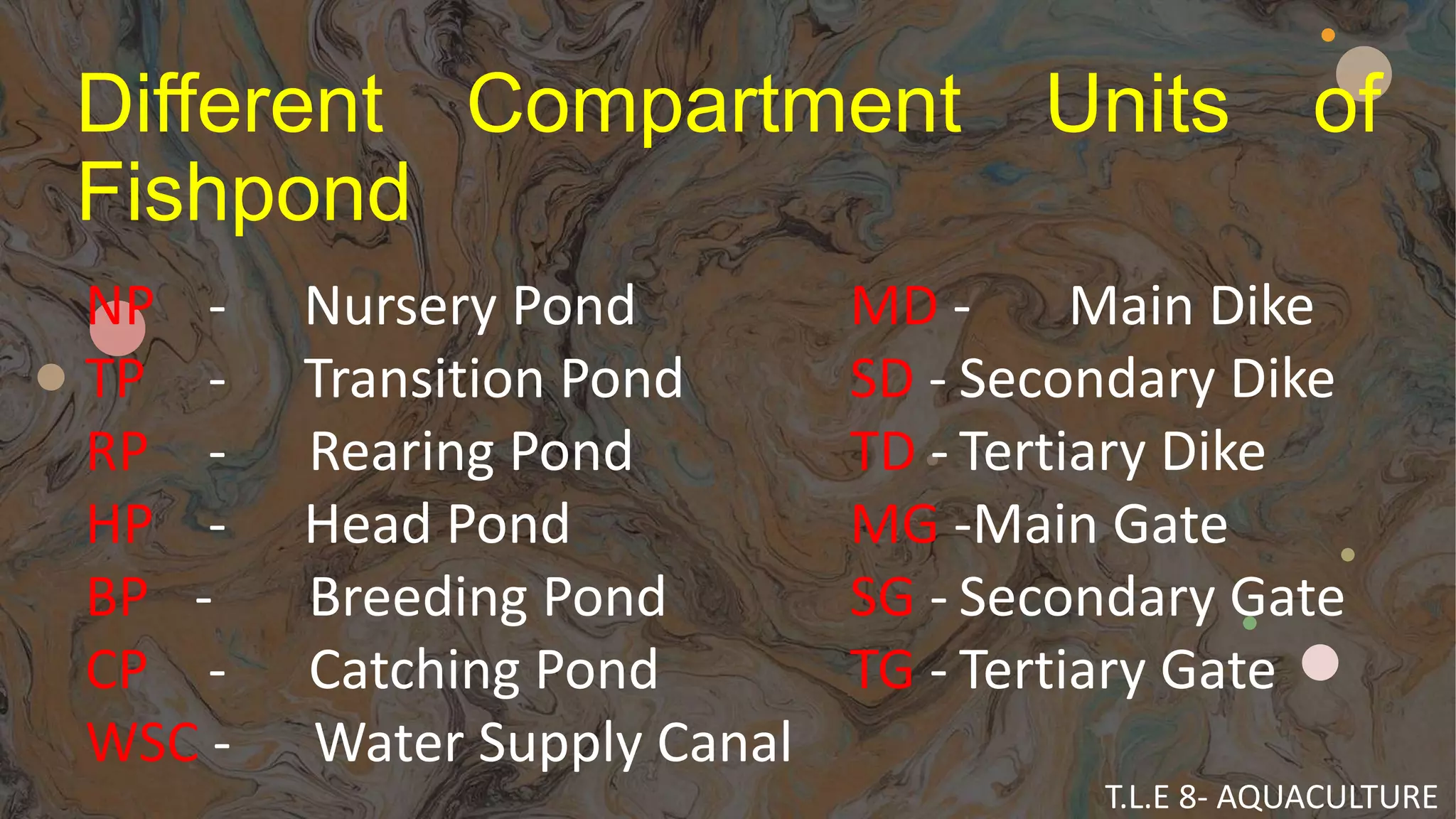 Fishpond and It’s Compartments.pptx
