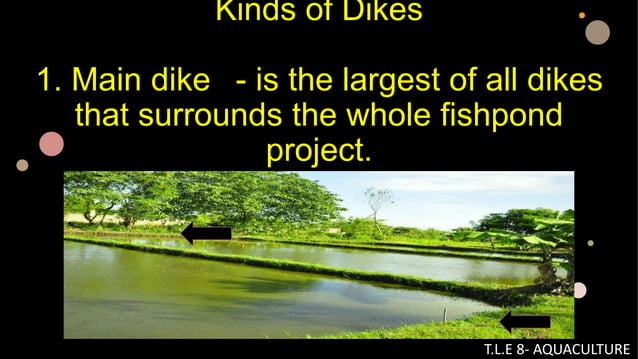 Fishpond and It’s Compartments.pptx