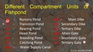 Fishpond and It’s Compartments.pptx