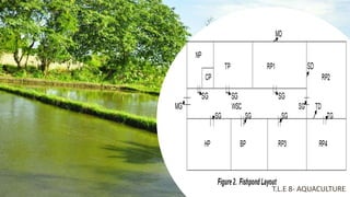 Fishpond and It’s Compartments.pptx