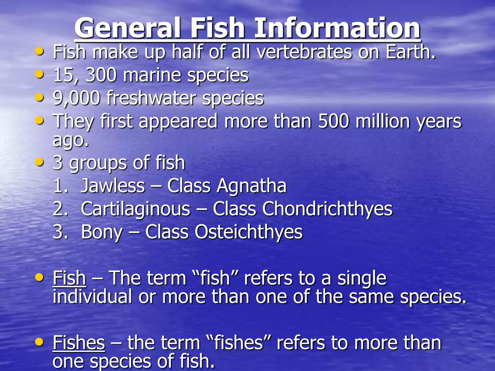 fish powerpoint.ppt