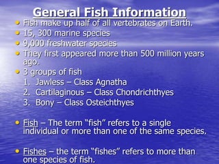 fish powerpoint.ppt