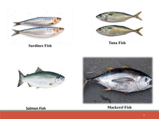 FISH PPT.pptx