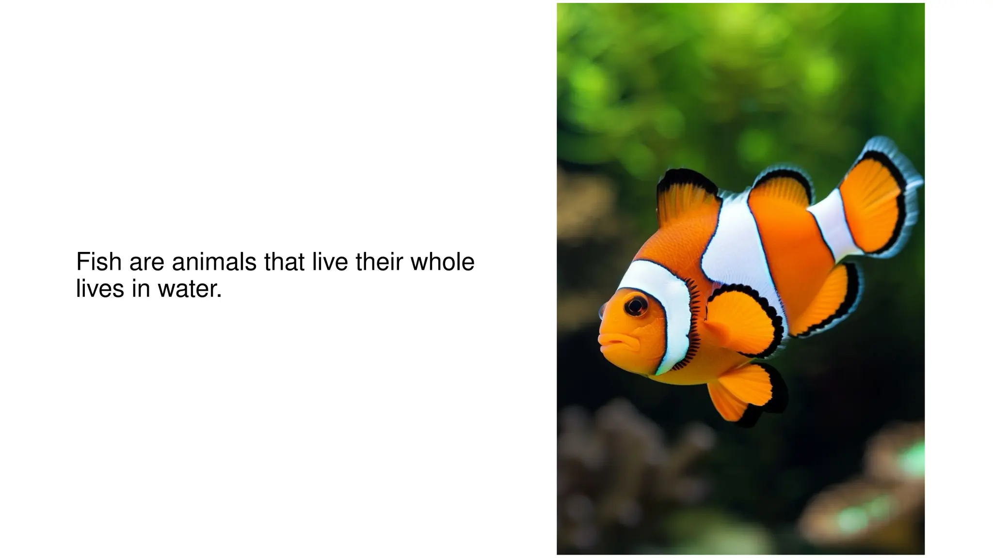 Fish power point, simple, brief, and basic. | PPTX