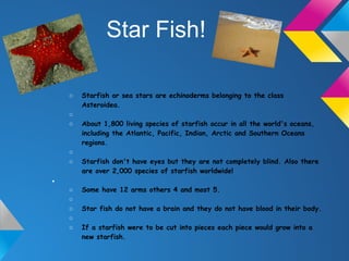 Fish presentation by 8th grade internet class | PPT