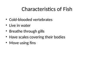 fish_presentation and classification.pptx