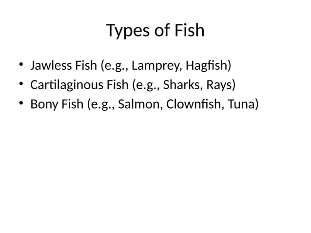 fish_presentation and classification.pptx