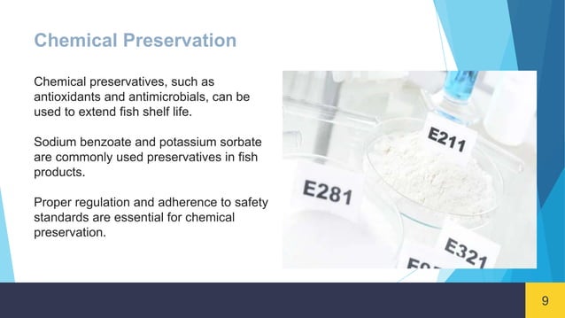 Fish Preservation Techniques[2].pptx | Pet Supplies | Pets