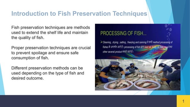 Fish Preservation Techniques[2].pptx | Pet Supplies | Pets