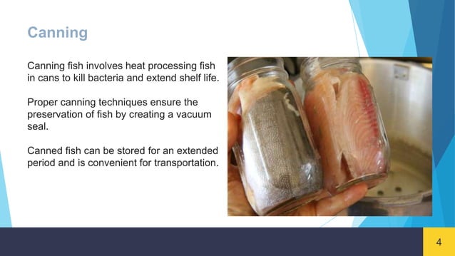 Fish Preservation Techniques[2].pptx | Pet Supplies | Pets