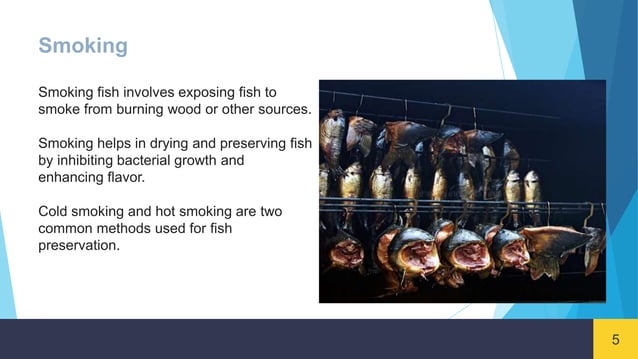 Fish Preservation Techniques[2].pptx | Pet Supplies | Pets