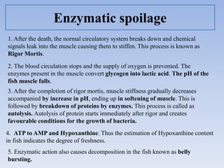 Fish processing | PPTX