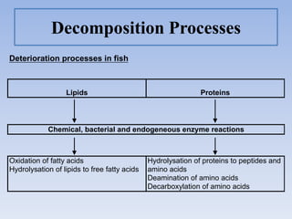 Fish processing | PPTX