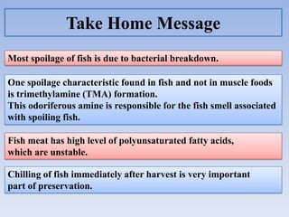 Fish processing | PPTX