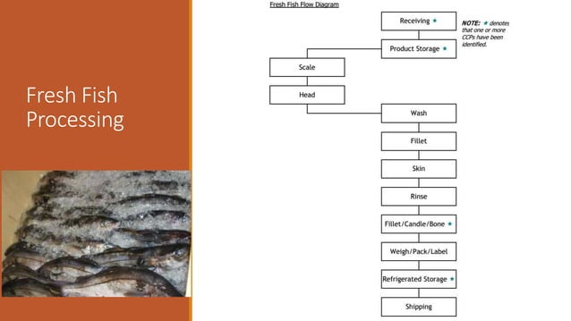 HACCP Implementation in Fish Processing Industry