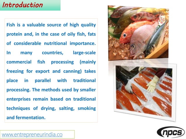 Fish Processing | PPTX | Pet Supplies | Pets