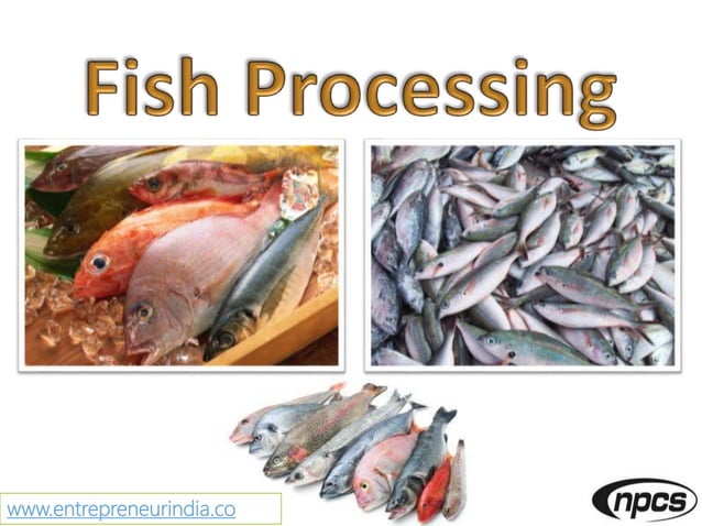 Fish Processing | PPTX
