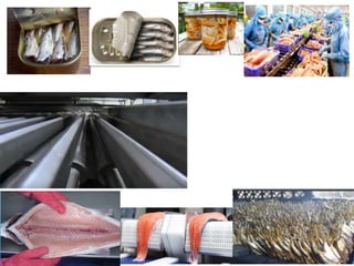 Fish processing | PPTX