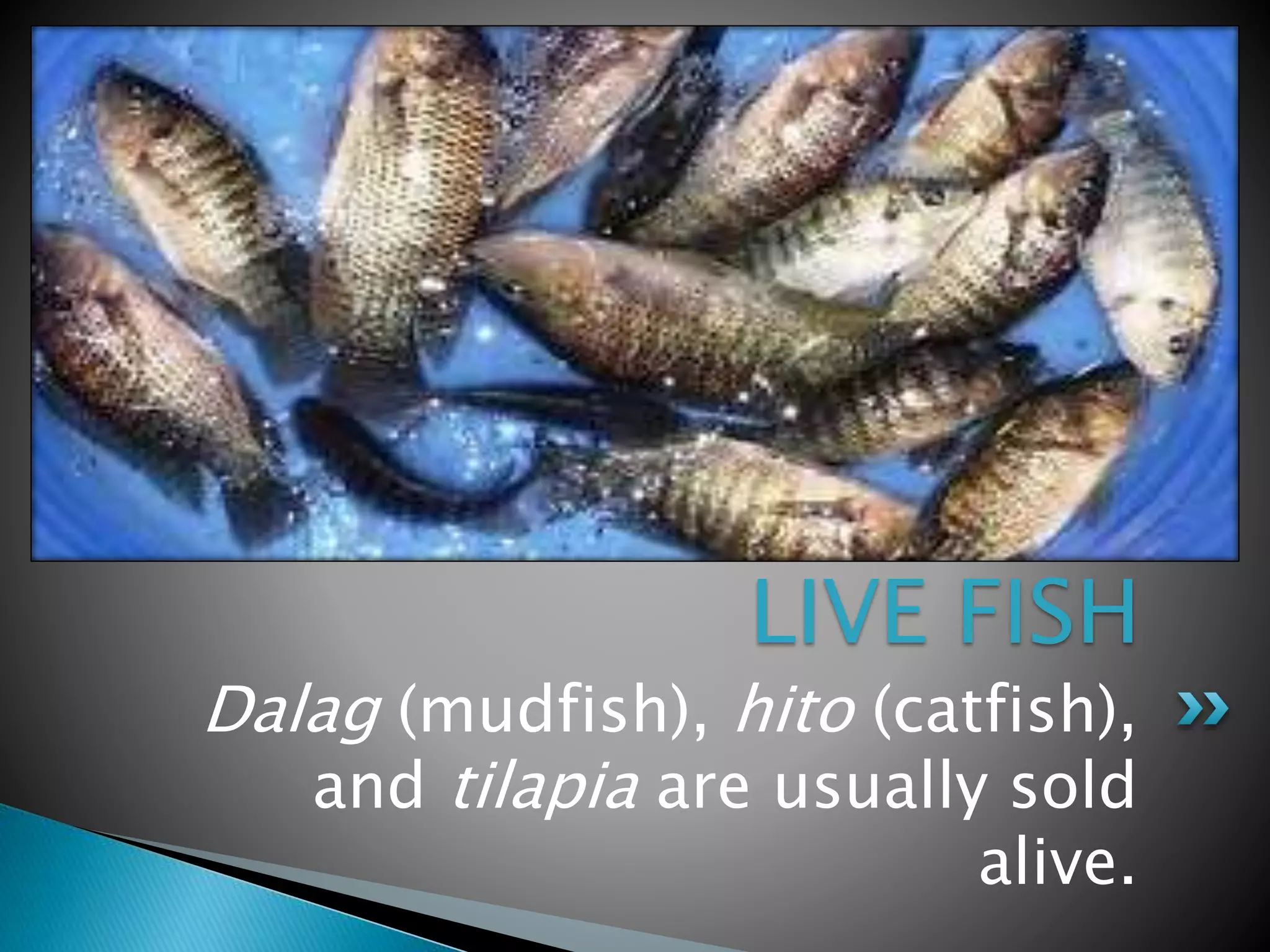 Fish processing | PPTX | Fish and Aquariums | Pets