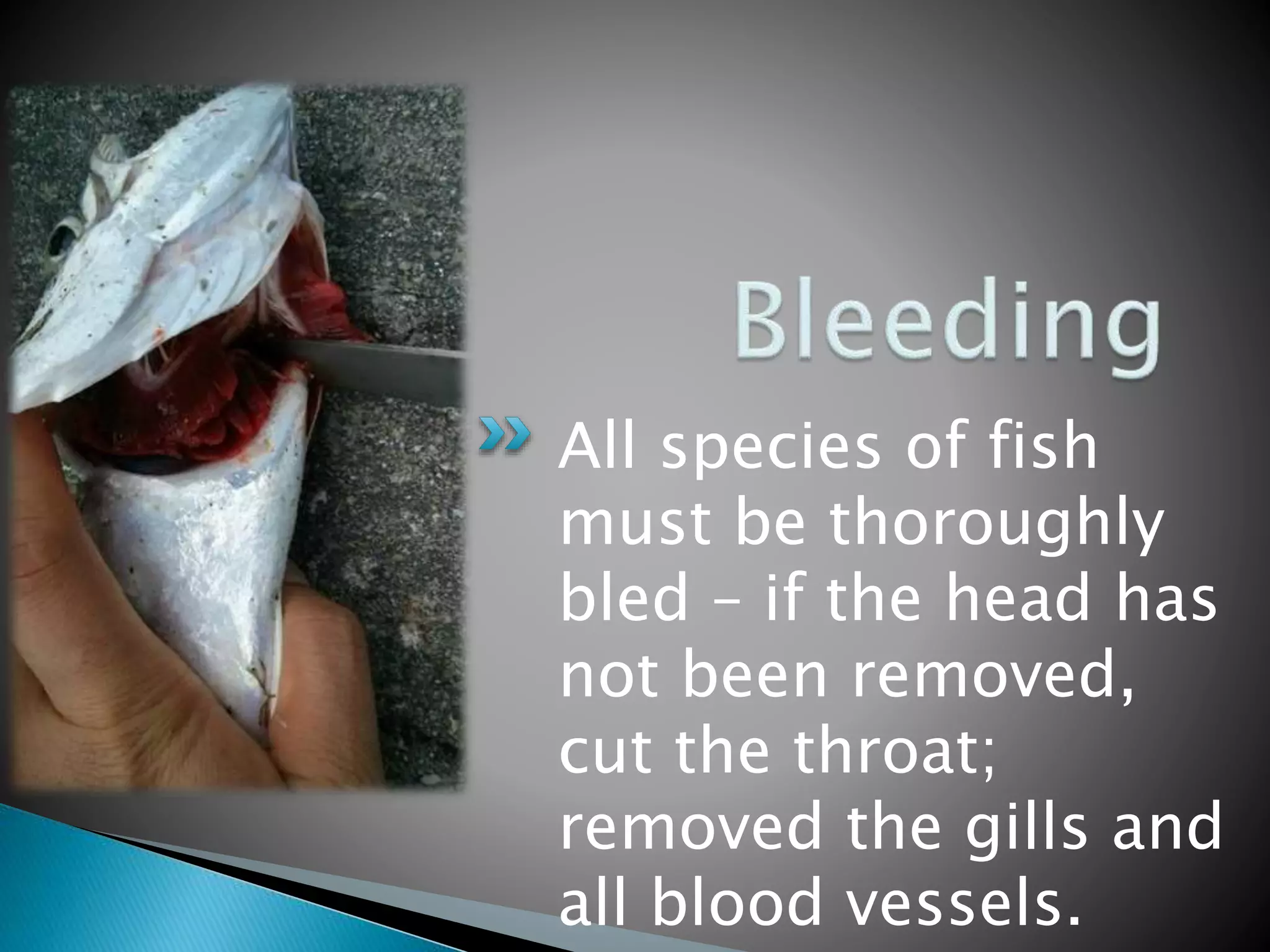 Fish processing | PPTX