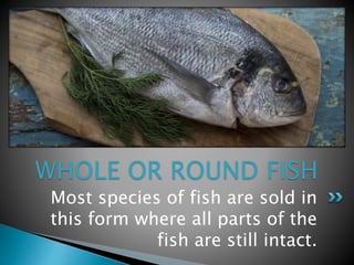 Fish processing | PPTX