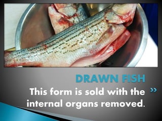 Fish processing | PPTX