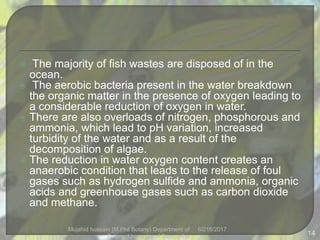 Fish processing by products. mujahid hussain | PPT