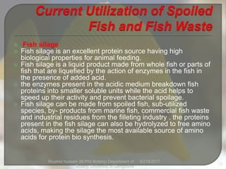 Fish processing by products. mujahid hussain | PPT