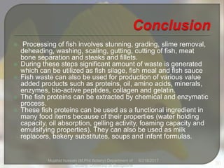 Fish processing by products. mujahid hussain | PPT