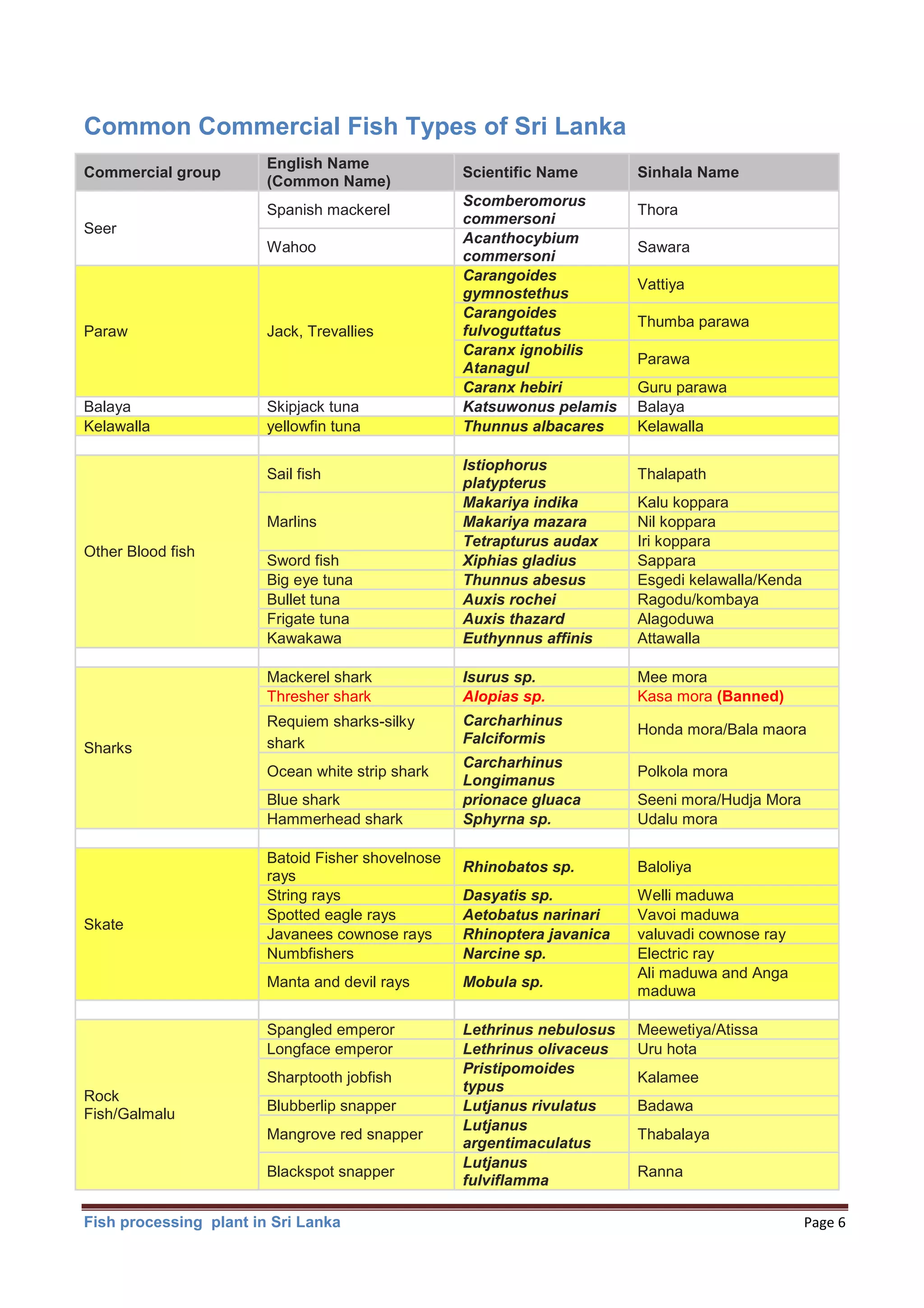 Fish processing plant Sri Lanka | PDF