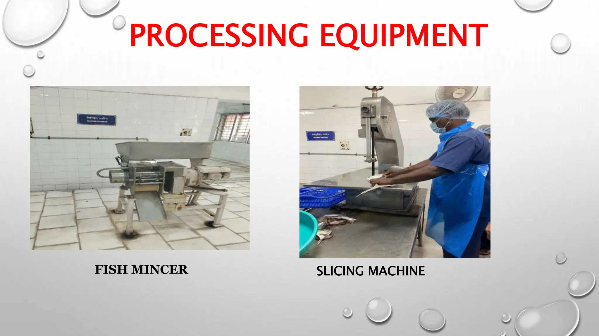 Fish processing & Post-harvesting Technology ppt.pptx