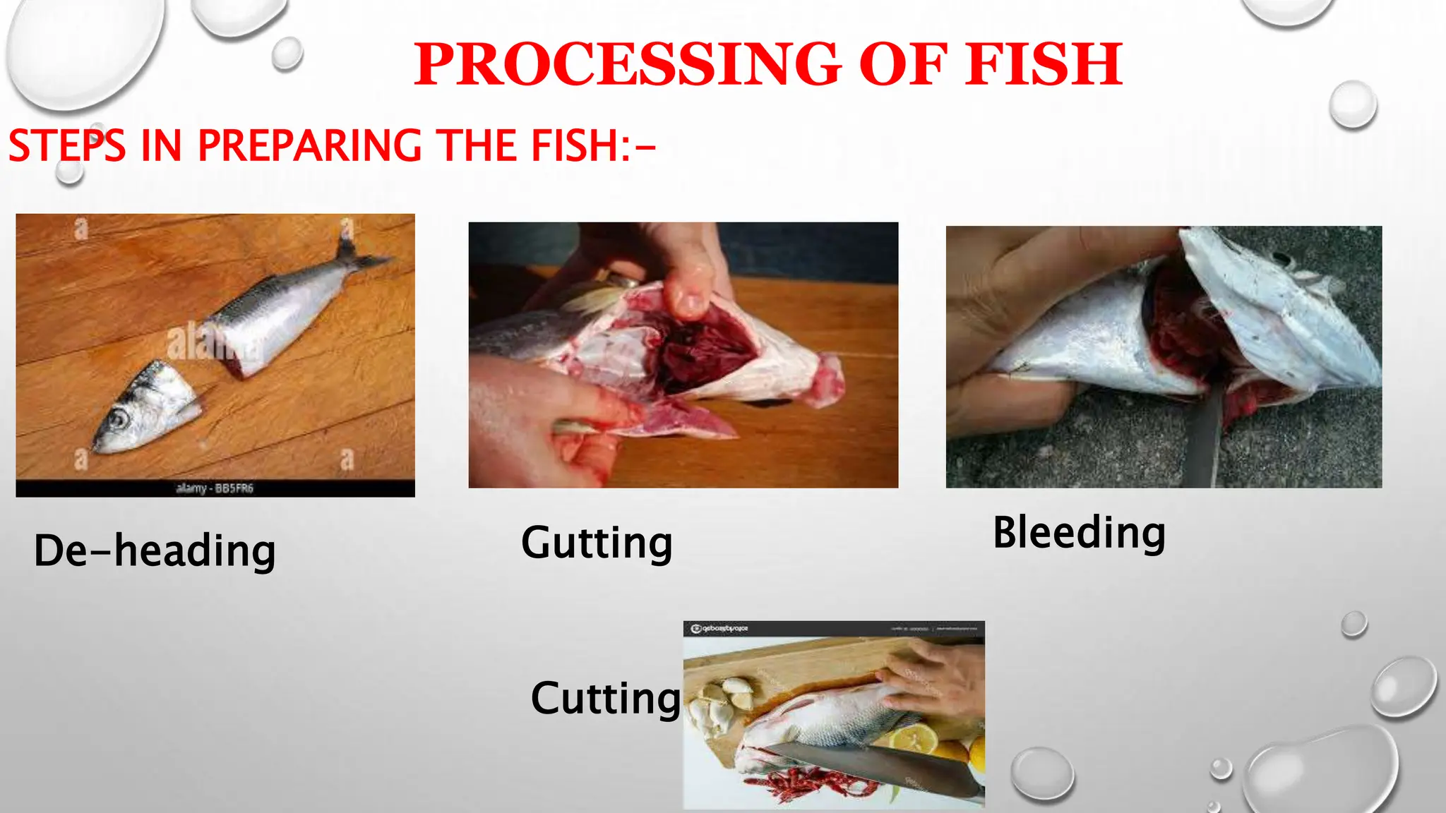 Fish processing & Post-harvesting Technology ppt.pptx