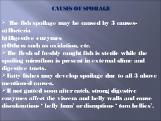 Fish processing ppt | PPT