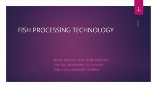 Fish processing technology | PPTX