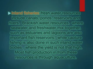 Fish production | PPTX