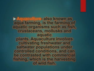 Fish production | PPTX