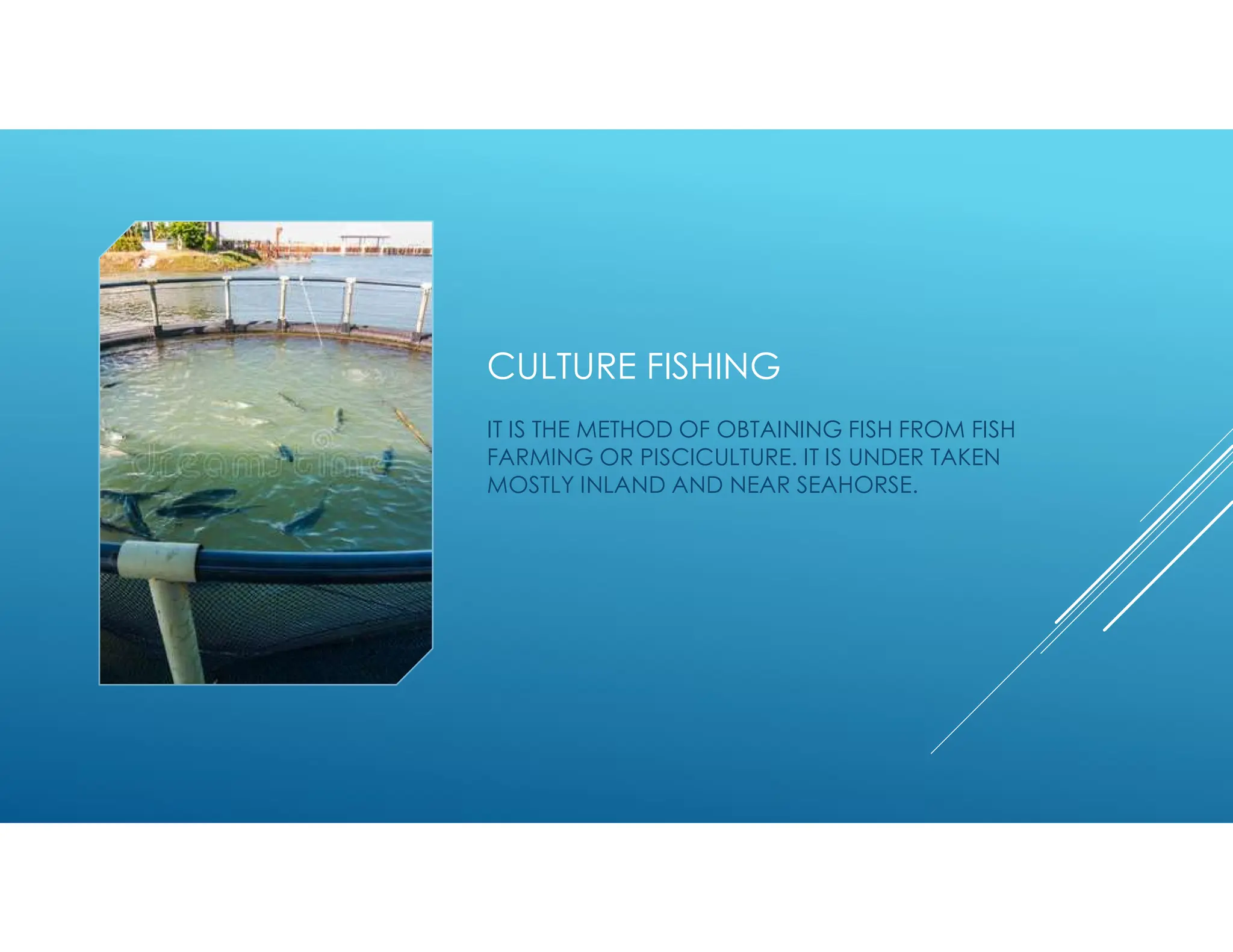FISH PRODUCTION.pdf