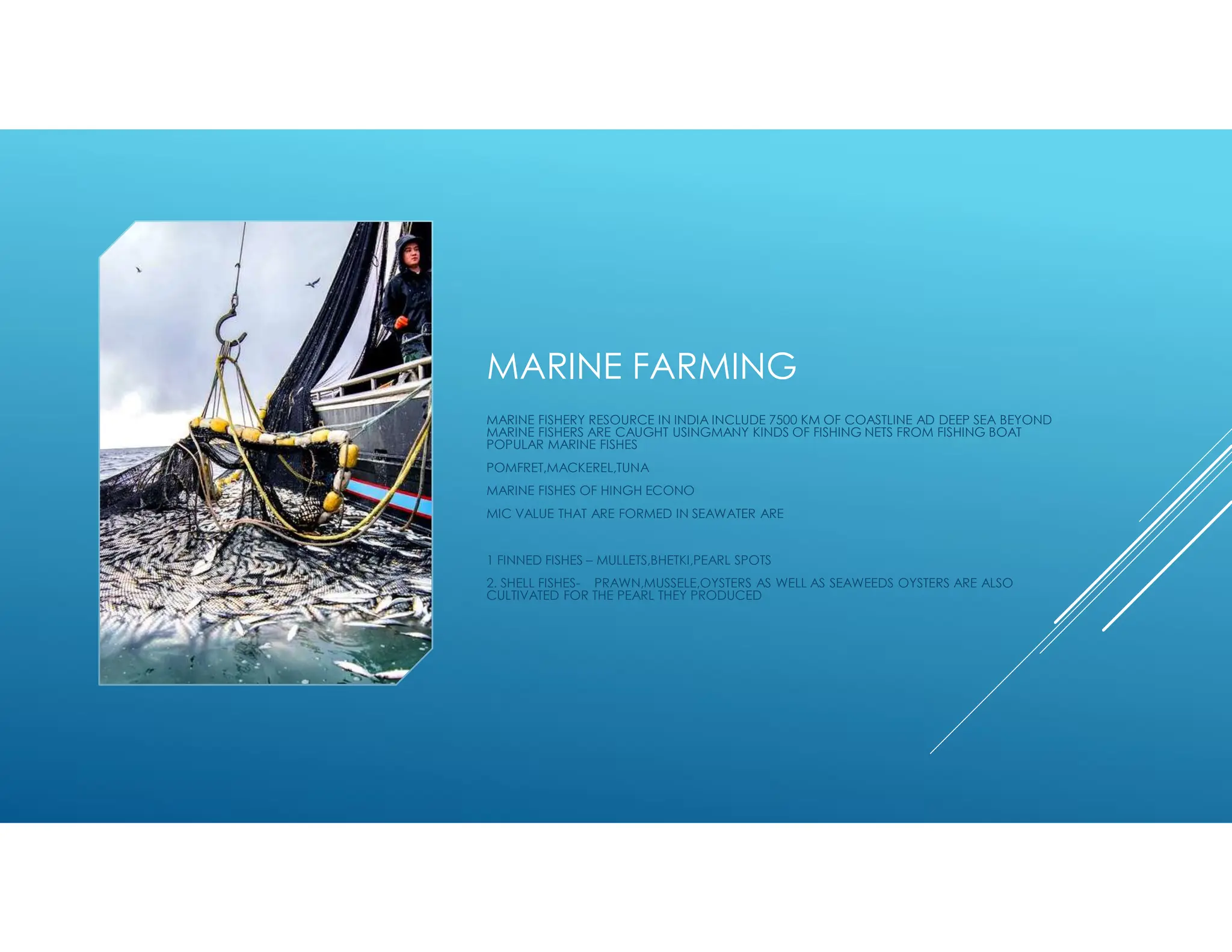 FISH PRODUCTION.pdf