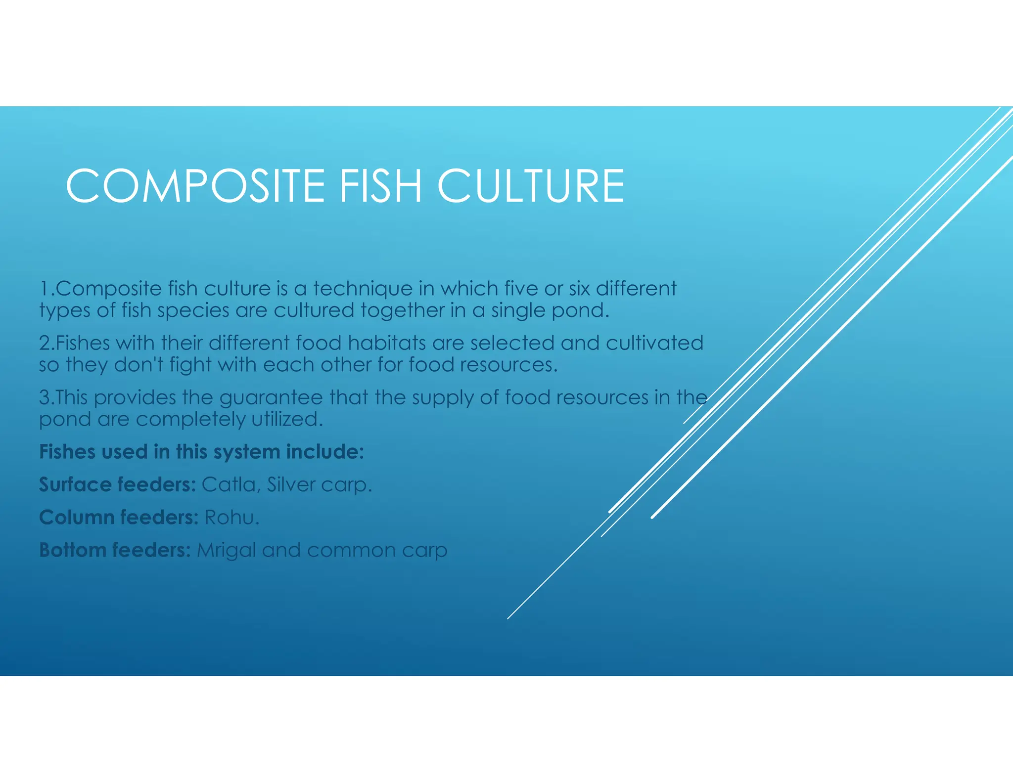 FISH PRODUCTION.pdf