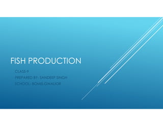 FISH PRODUCTION.pdf